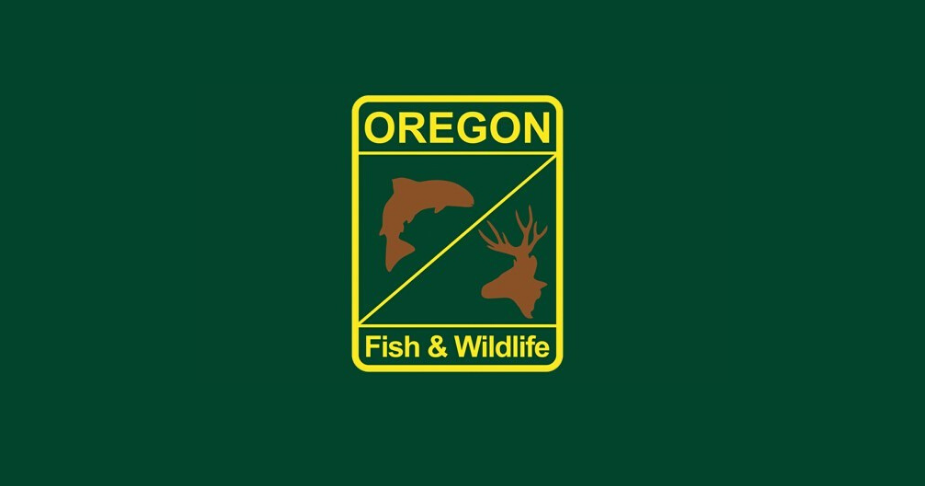 Oregon Department of Fish and Wildlife Recreation Report | News ...