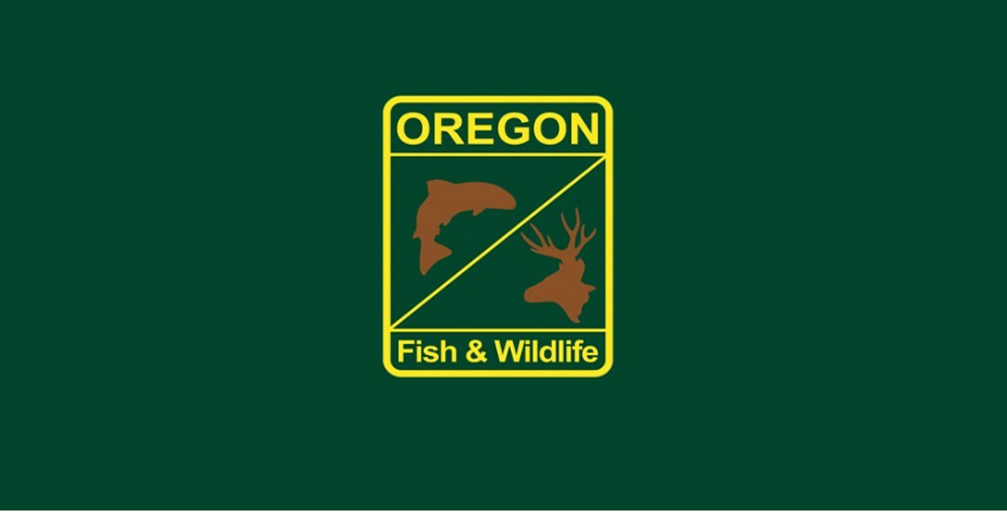 Oregon Department of Fish and Wildlife Recreation Report | News ...