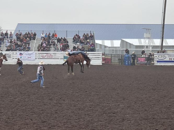 Dairy Parade and Rodeo kick off summer | Community ...