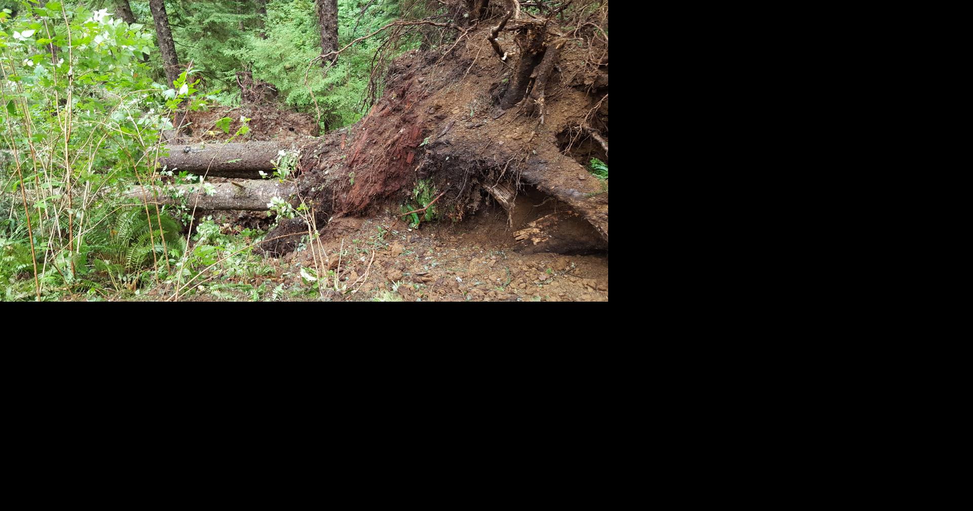 Oregon State Parks begins to assess wildfire, windstorm damage | News ...