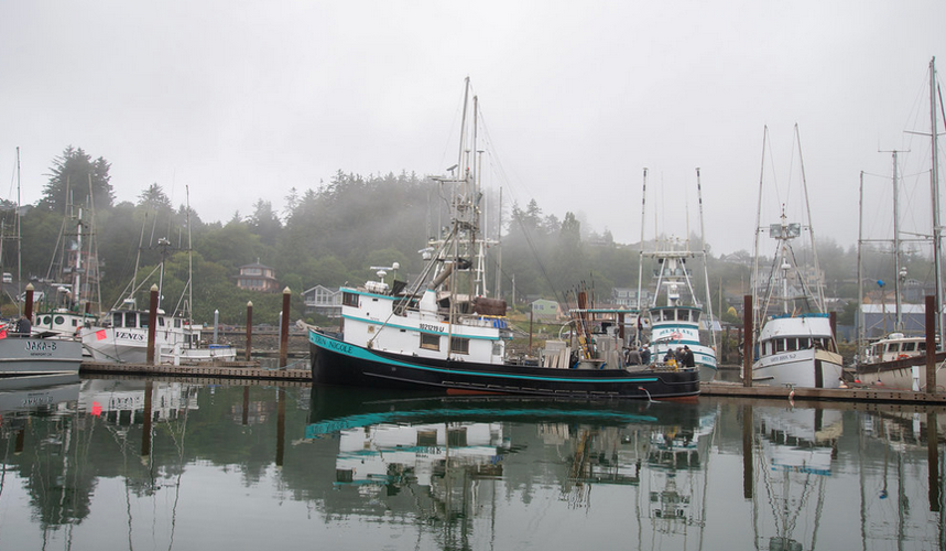 Photos: Guided dock tours offer inside look at Oregon’s commercial ...