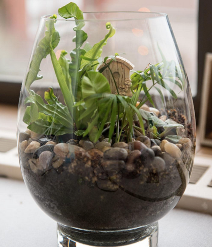 In the Garden: Tiny gardens, big impact: how to make (and care for) a ...