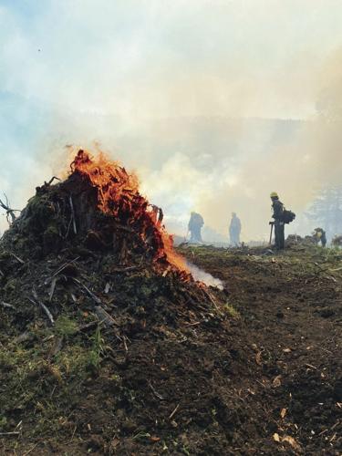 All ODF district are now in fire season | News | tillamookheadlightherald.com