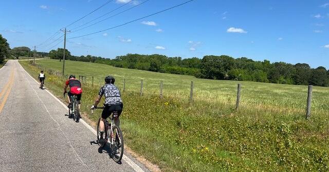 Meet fellow ‘Cyclepaths’ at the Georgia Free Ride Event | News | times-herald.com