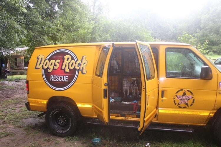 Dead, diseased animals reportedly found at private animal shelter ...