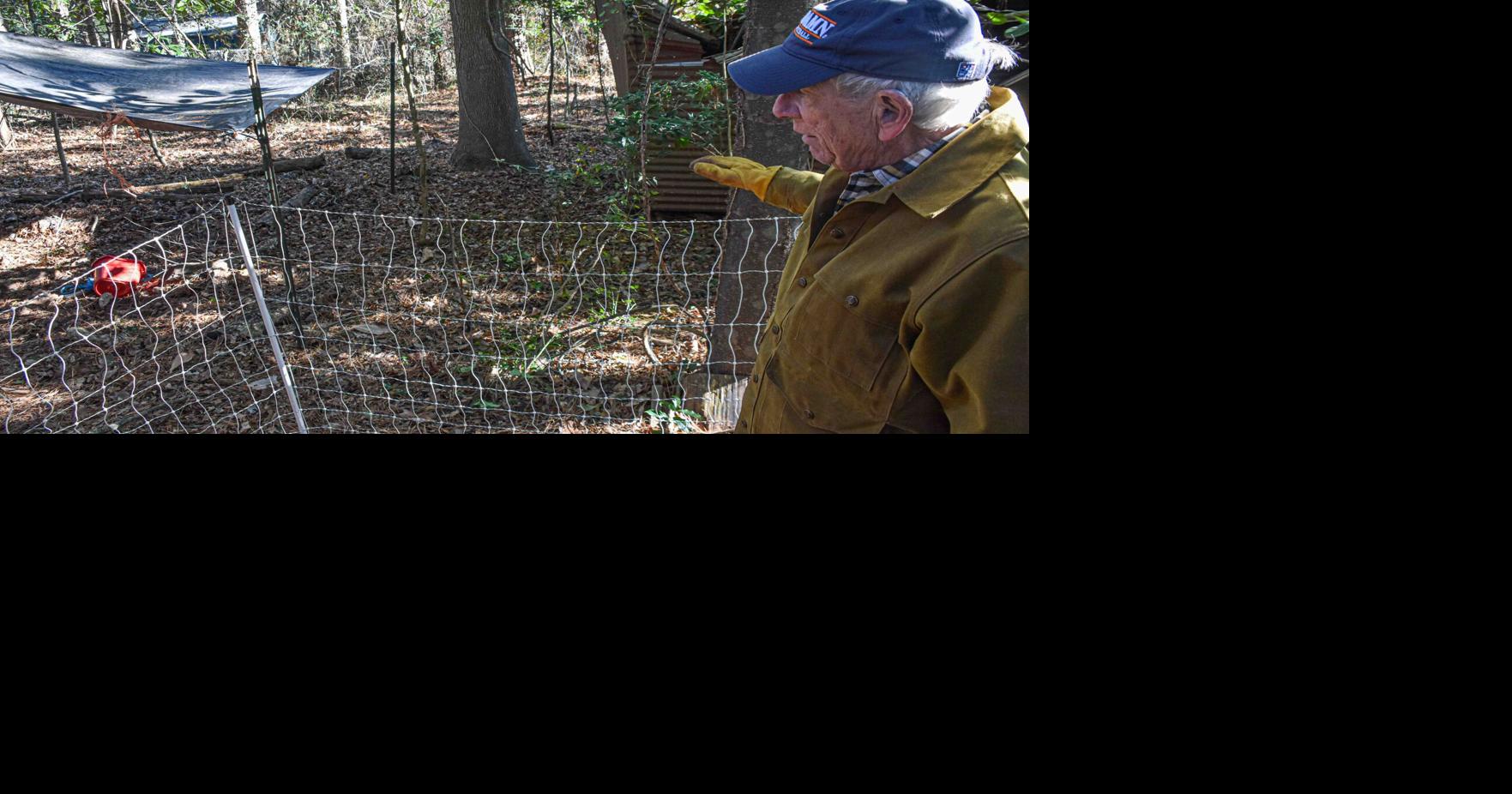 Grazing to greatness: Goats help Newnan homeowner reclaim overgrown ...