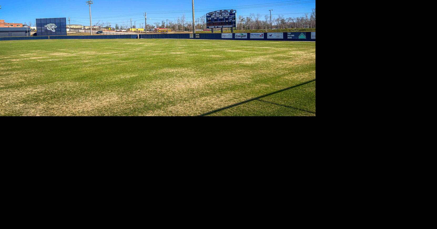 Thoughts of spring – Baseball returns soon | Sports | times-herald.com