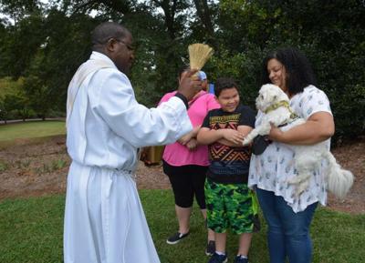 Animals to be blessed at St. George, St. Paul’s, Resurrection | Local ...