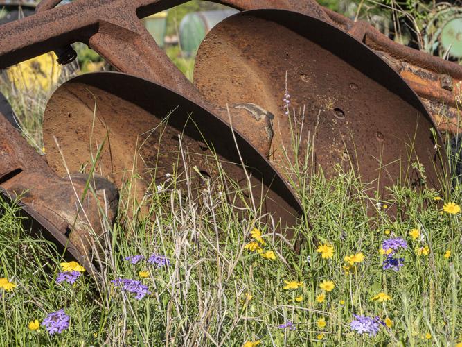 There and Back Again: Texas Junkyard | Local News | times-herald.com