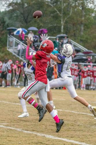 Bass wins epic showdown | Sports | times-herald.com