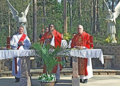 Palm Sunday sets stage for Holy Week | Local News | times-herald.com