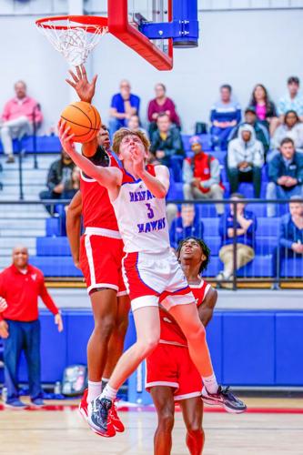 Furious finish pushes Hawks to victory | Sports | times-herald.com