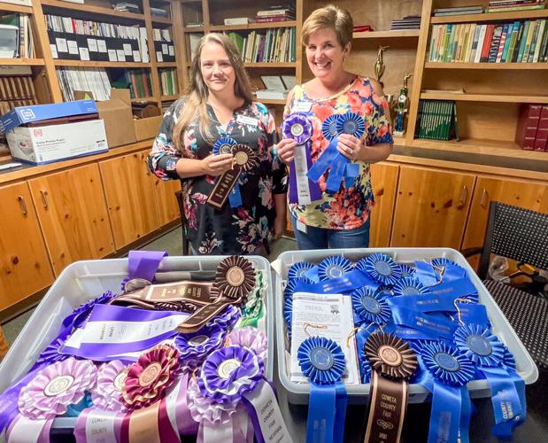Bake, craft, compete: Coweta County Fair contests open for entries ...