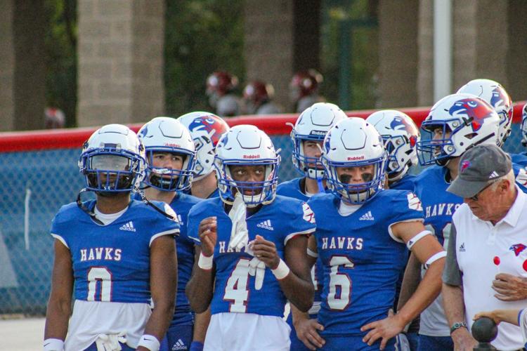 Improving Hawks drop home opener | Sports | times-herald.com