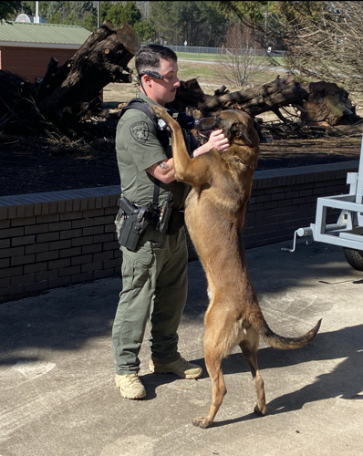 K-9 Unit plays crucial role for CCSO | News | times-herald.com