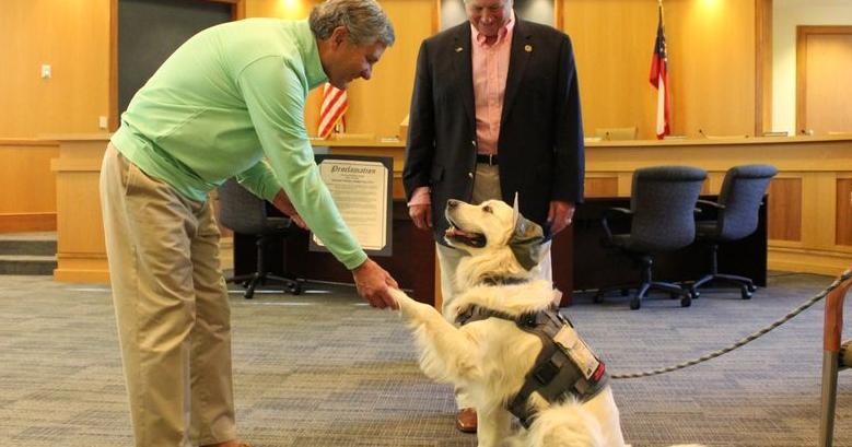 Oliver Golden Therapy Dog, honored on National Therapy Animal Day ...