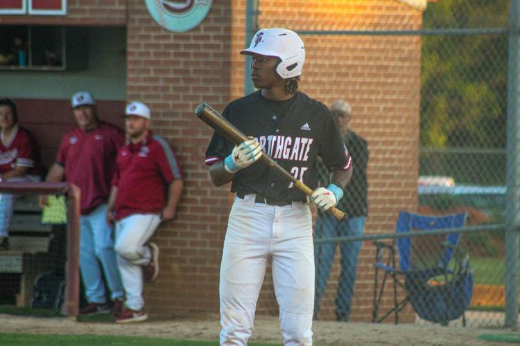 Northgate’s baseball season ends in playoffs | Sports | times-herald.com