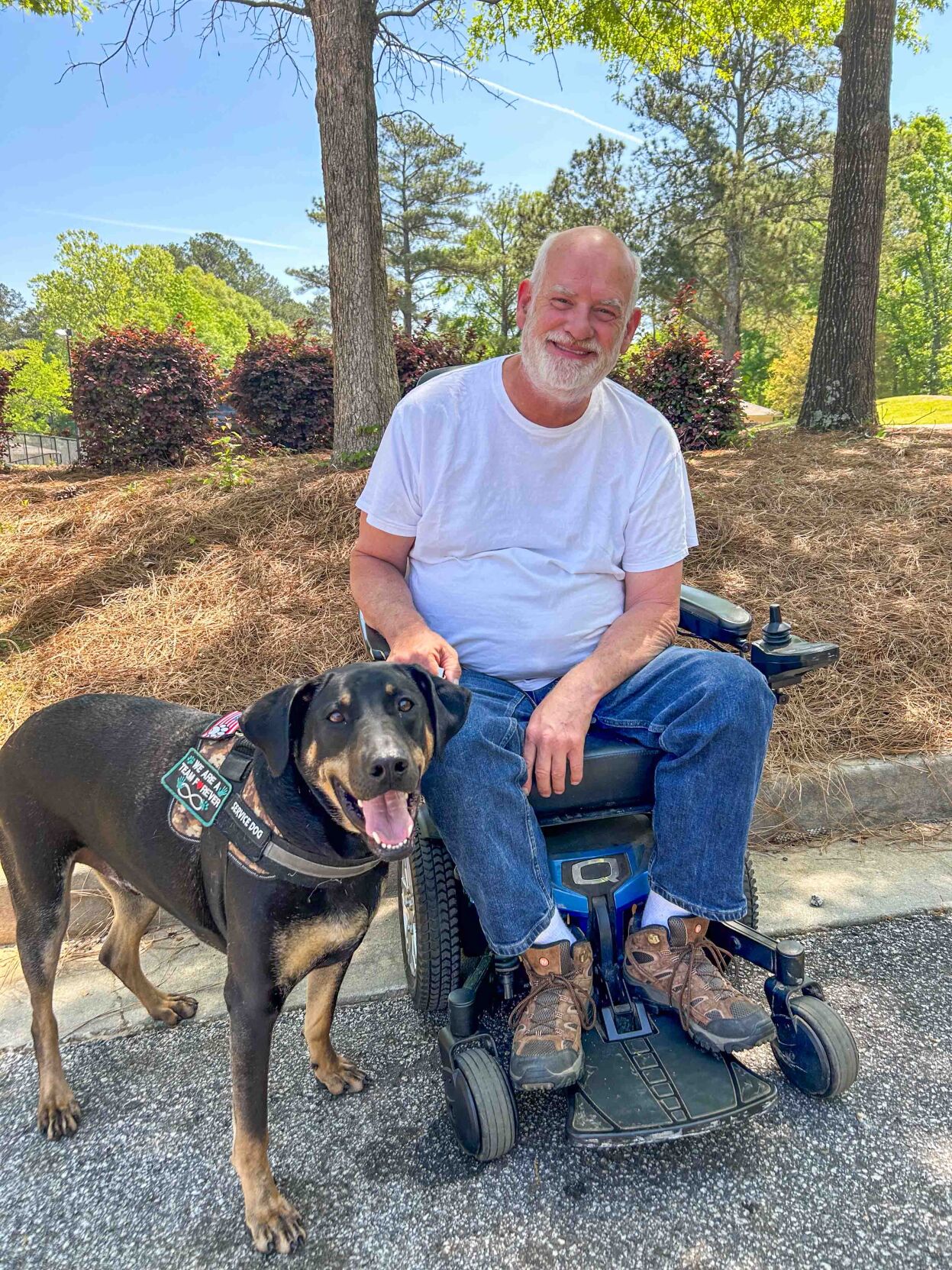 First-ever dog show fundraiser to support veterans, service dogs set ...