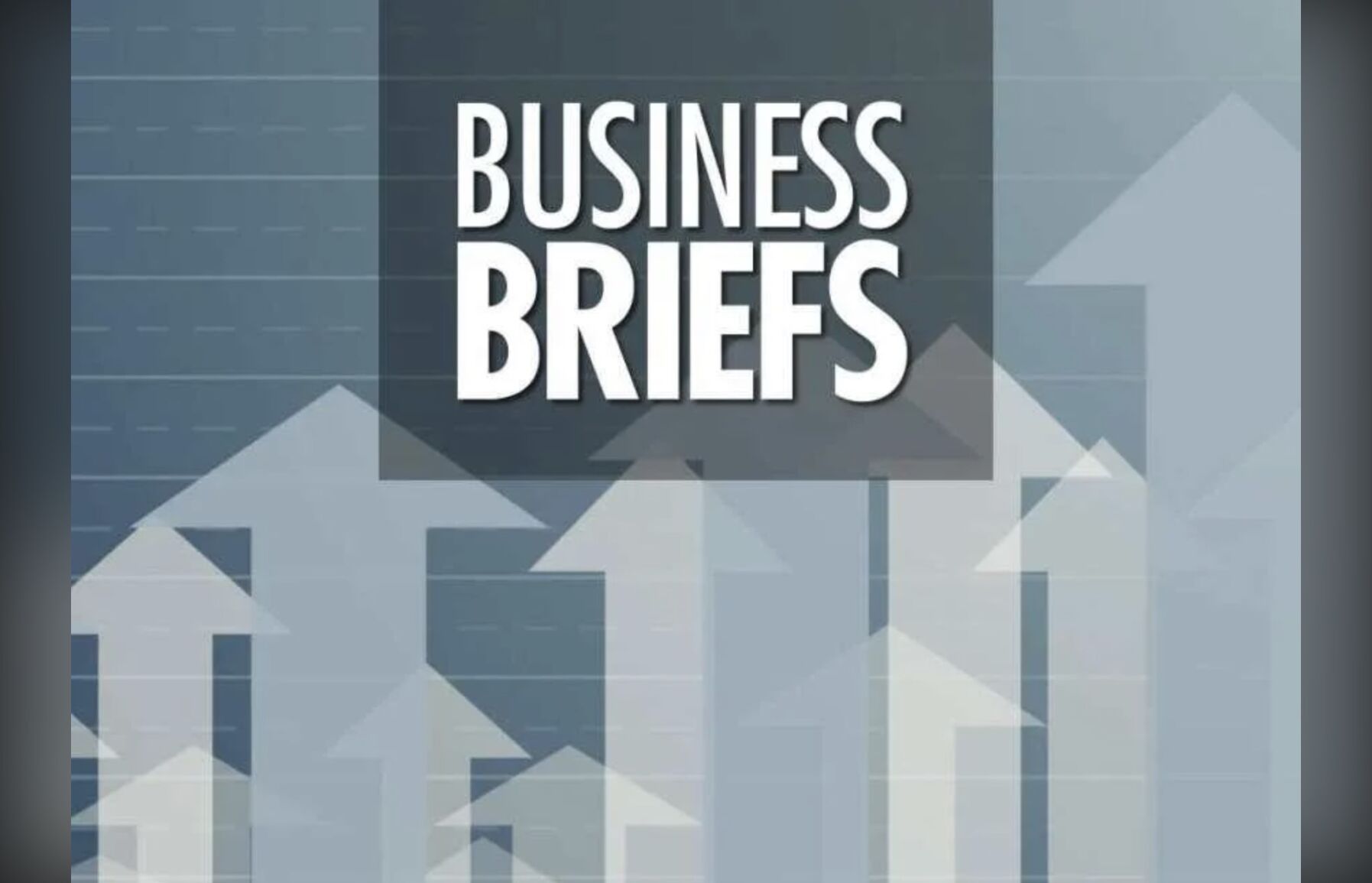 Business Briefs | News | times-herald.com