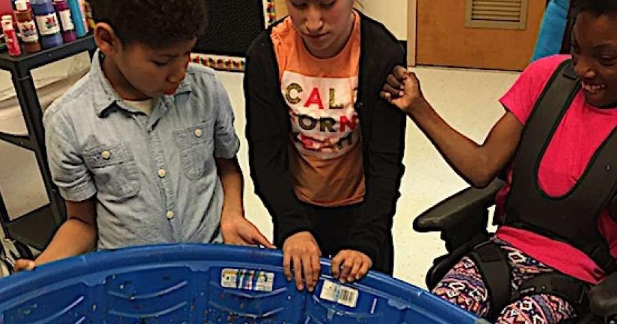 Jefferson Parkway’s ‘Pollock in the Pool’ makes big splash | Education ...