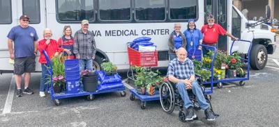 VFW provides plants for Trinka Davis | Arts & Community | times-herald.com