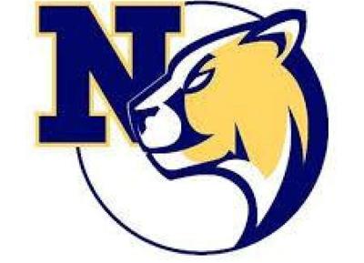 Newan sweeps Northgate | Sports | times-herald.com