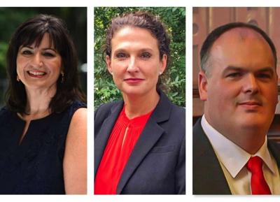 Meet your House District 71 candidates | Local News | times-herald.com