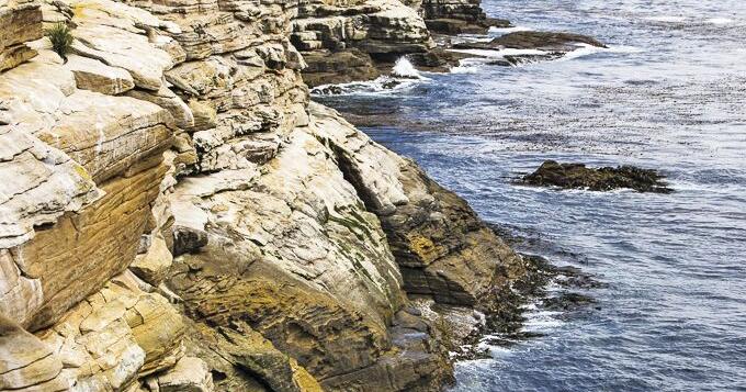 There & back again: New Island, Falklands | Arts & Community | times ...