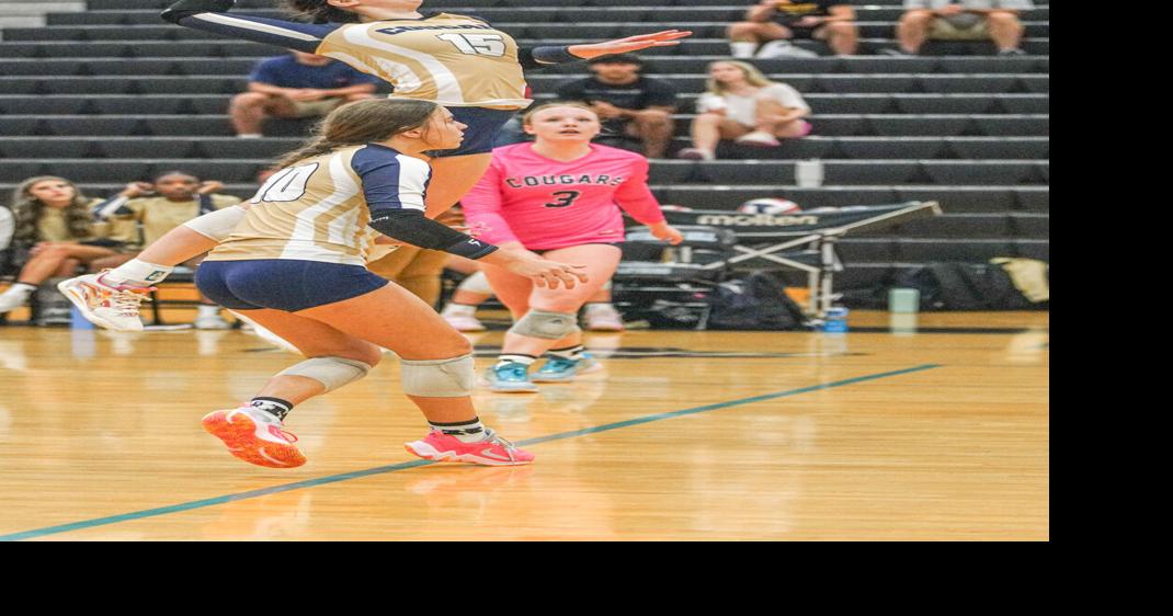 Lovett gets 1,000th career kill | Sports | times-herald.com