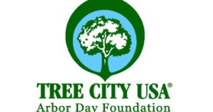 Arbor Day Foundation names Newnan a 2022 Tree City USA | Local News ...