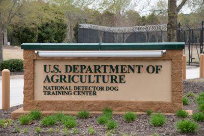 National Detector Dog Training Center experiences federal cuts | News ...