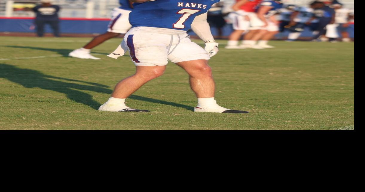 Depleted Hawks fight on the road | Sports | times-herald.com