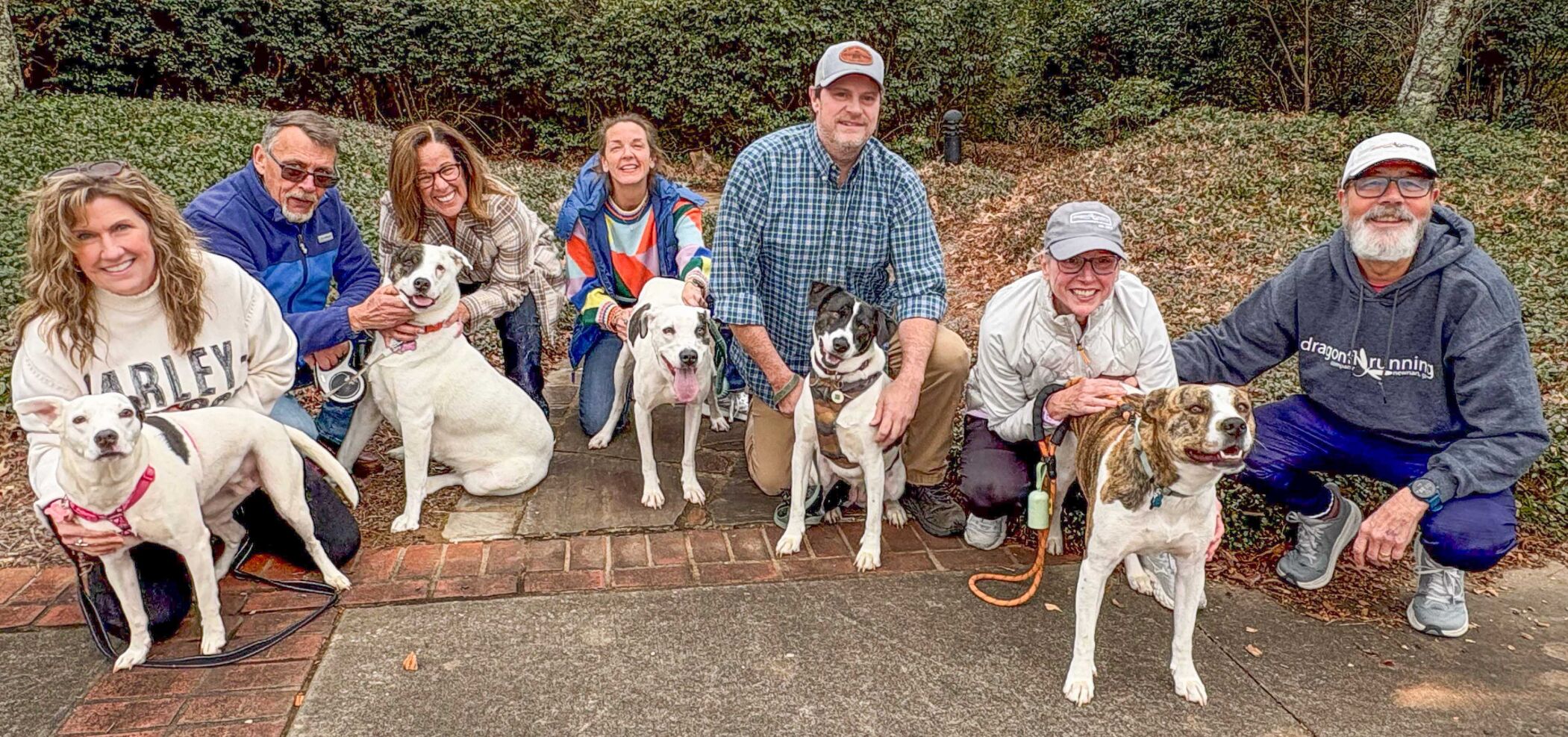Years later, a familiar face leads rescue dog home | Arts & Community ...