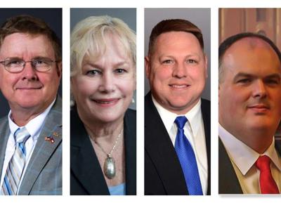 State Reps. named to committees | Local News | times-herald.com