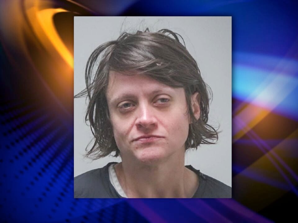 Naked woman arrested for public indecency, active warrant | News ...