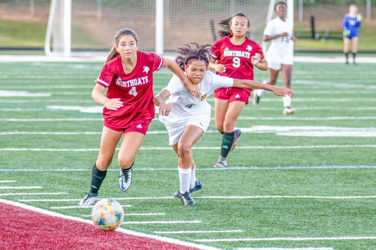 Northgate girls soccer advances to Elite 8 | Sports | times-herald.com