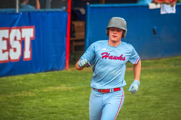 Hawks muscle way to Final-4 on the diamond | Sports | times-herald.com