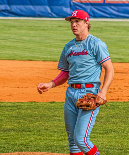 Hawks muscle way to Final-4 on the diamond | Sports | times-herald.com