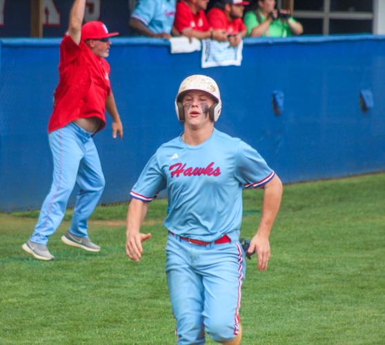 Hawks muscle way to Final-4 on the diamond | Sports | times-herald.com