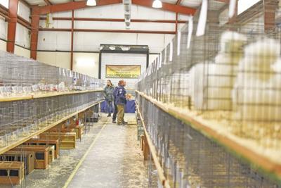 Annual Poultry Show opens on Friday | News | times-herald.com