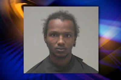 Man arrested for animal cruelty after beating horse with stick | News ...