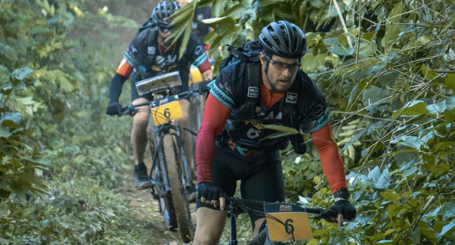 arthur the king bear grylls