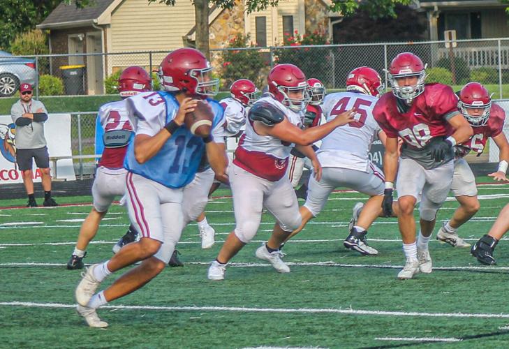 Vikings look to build on momentum | Sports | times-herald.com