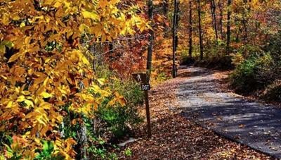 Statewide plan for 'Sweet Trails' released | News | times-journal.com