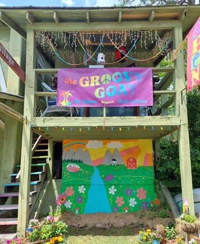 Groovy Goat a beacon of owner’s self-expression | News | times-journal.com