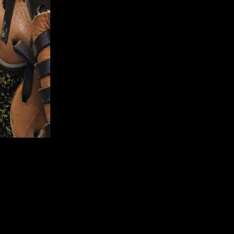 PREP BASEBALL ROUNDUP: Fyffe, Geraldine, Sylvania advance in 3A state ...