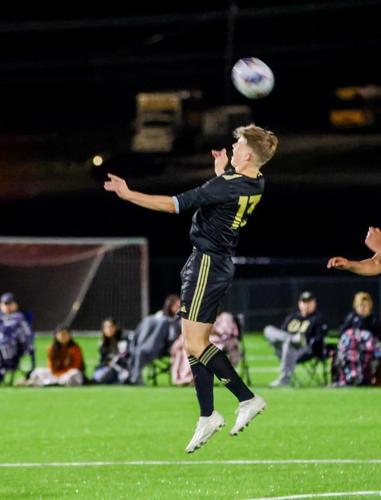 Fort Payne Boys are Area Champs | Sports | times-journal.com