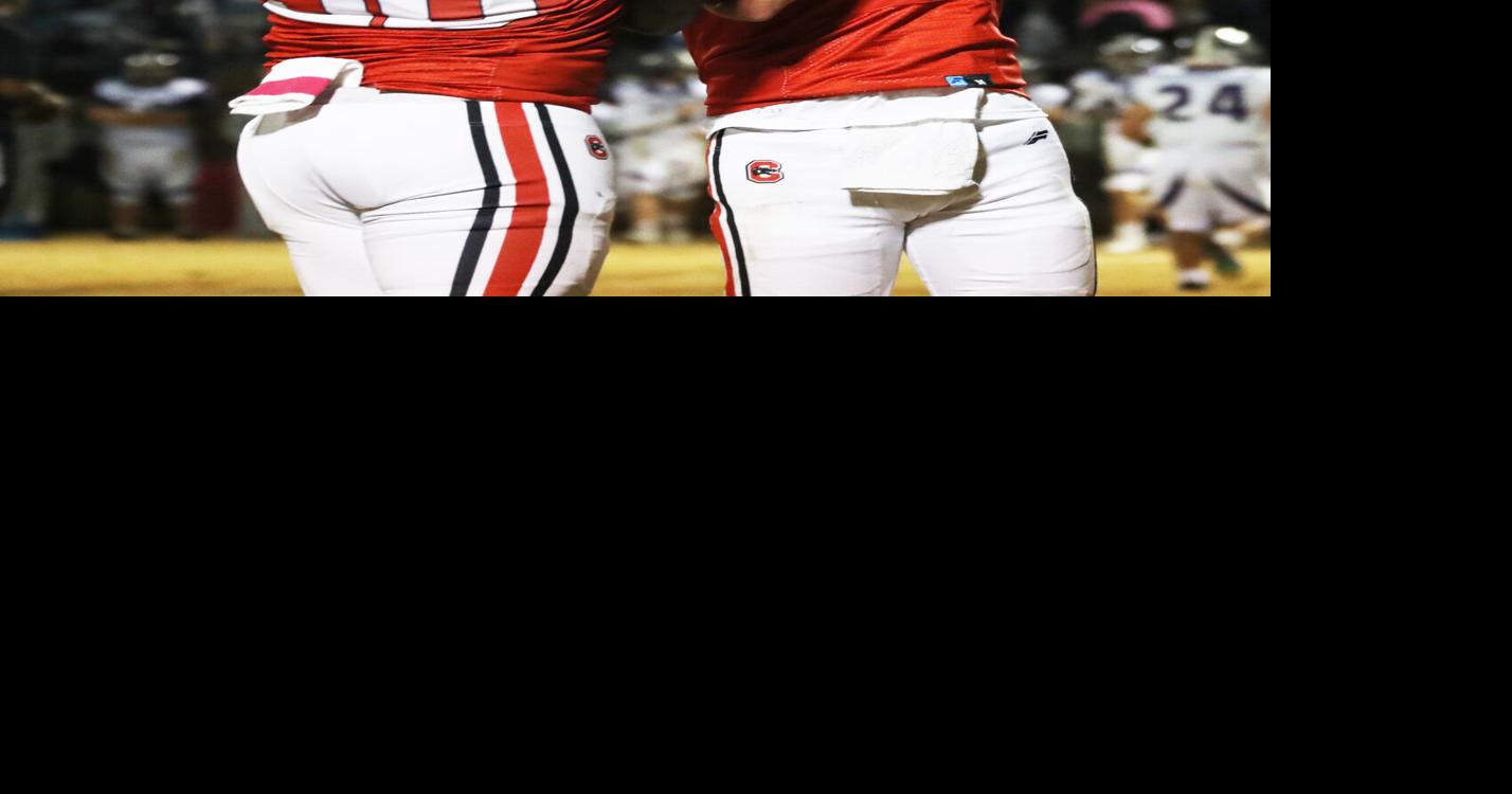 Panthers stave off No. 4 Tigers’ second-half rally | Sports | times ...