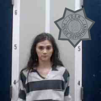 High-speed chase in Ider lands two in county jail | DeKalb County ...