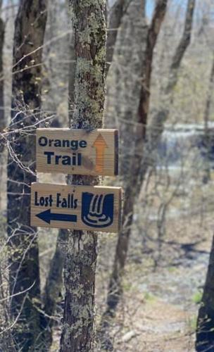 What to do in DeKalb County: Writer’s workshop, kid’s concert, Earth ...